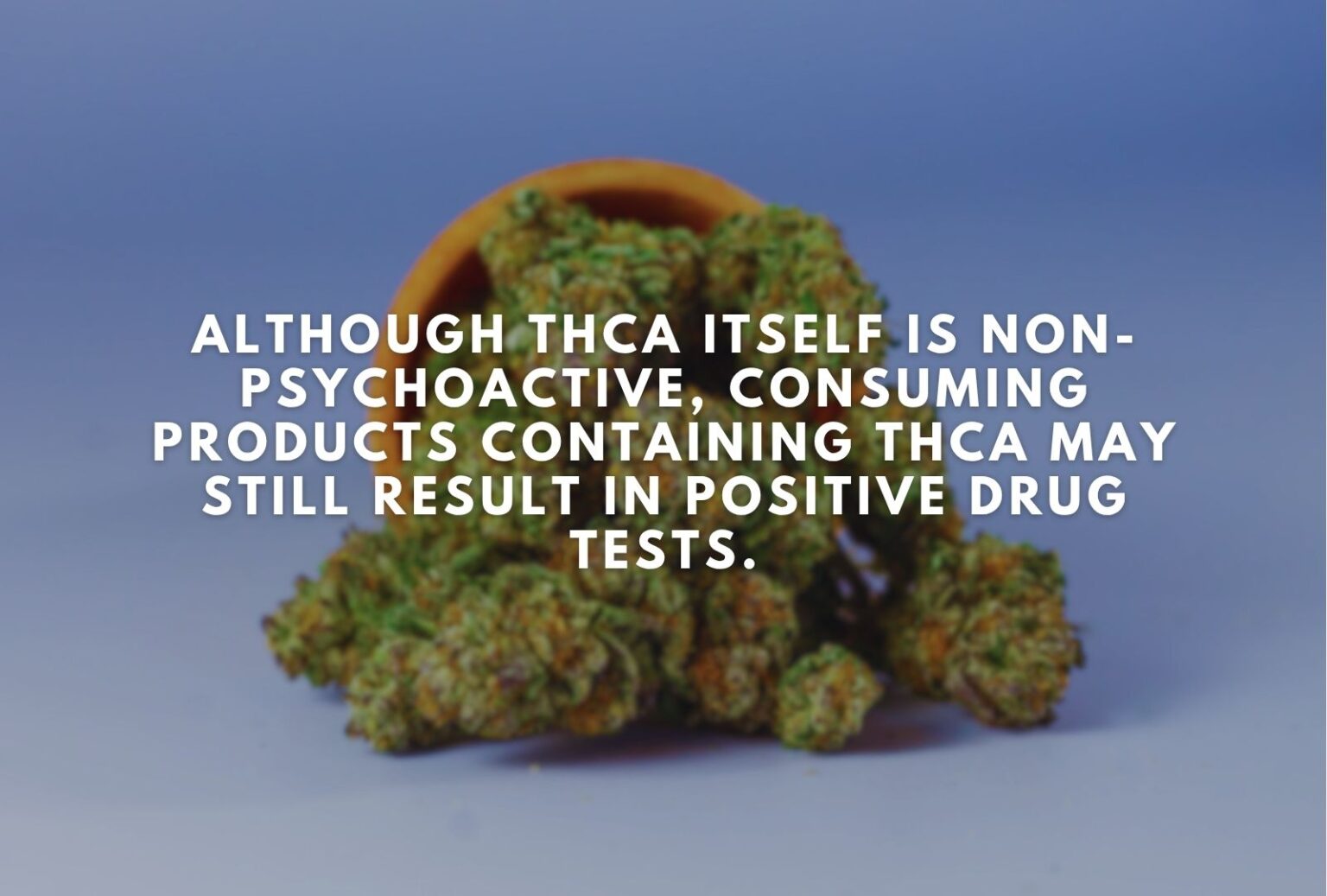 What is TCHA vs THC? - Green Cannabis Co. Dispensary Las Vegas, NV
