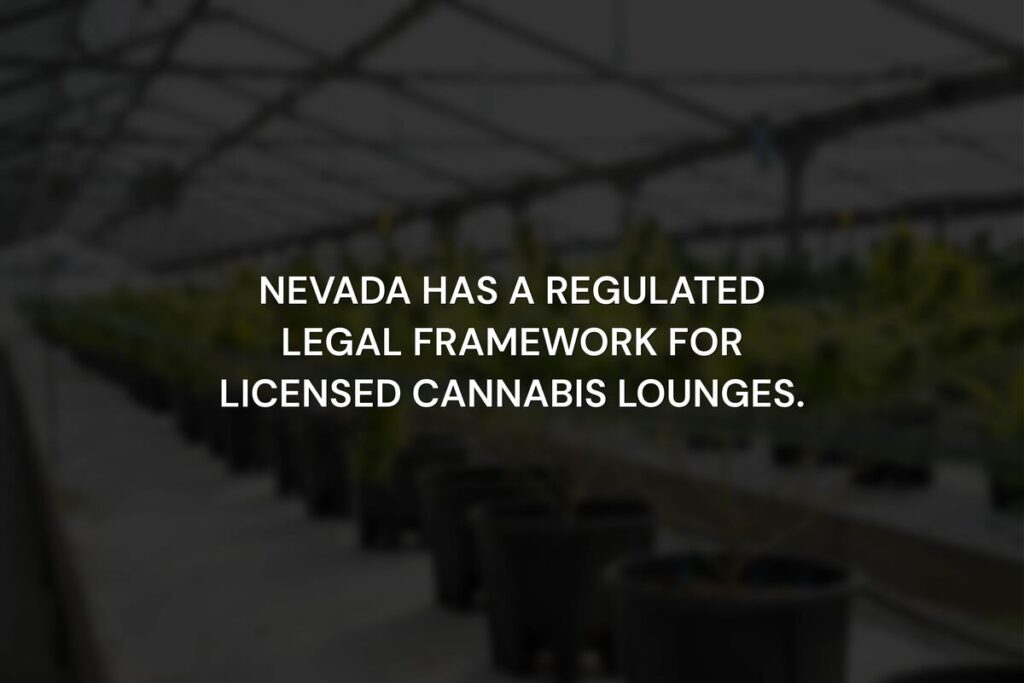 What Are Nevada's Cannabis Consumption Lounges and Can Tourists Use ...