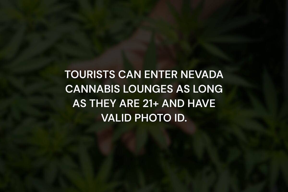 What Are Nevada's Cannabis Consumption Lounges and Can Tourists Use ...